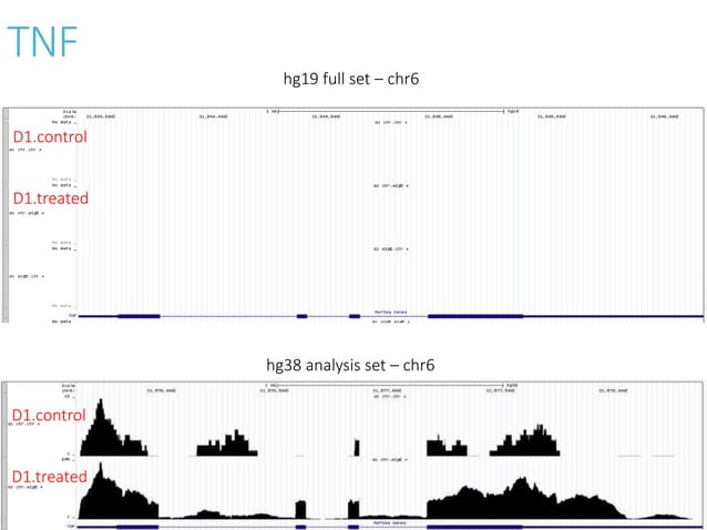 hg19 (GRCh37) vs. hg38 (GRCh38) | PPTX | Genetics | Science