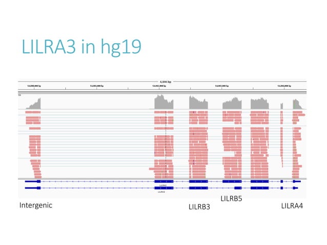 hg19 (GRCh37) vs. hg38 (GRCh38) | PPTX | Genetics | Science