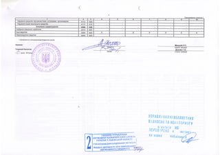 Zvit 2017 ii kv forma 2 | PDF