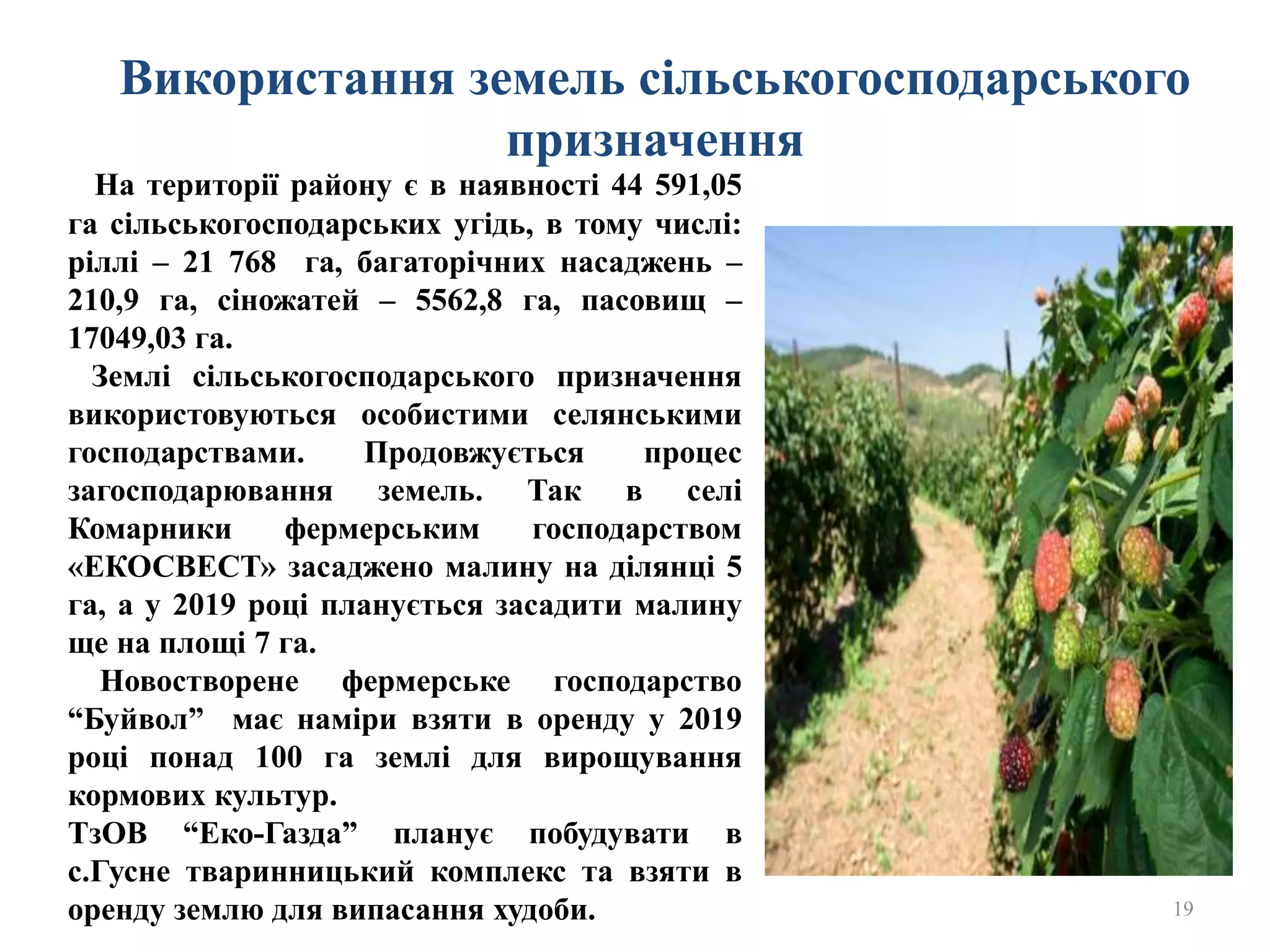 Zvit golovi 2019 | PPTX