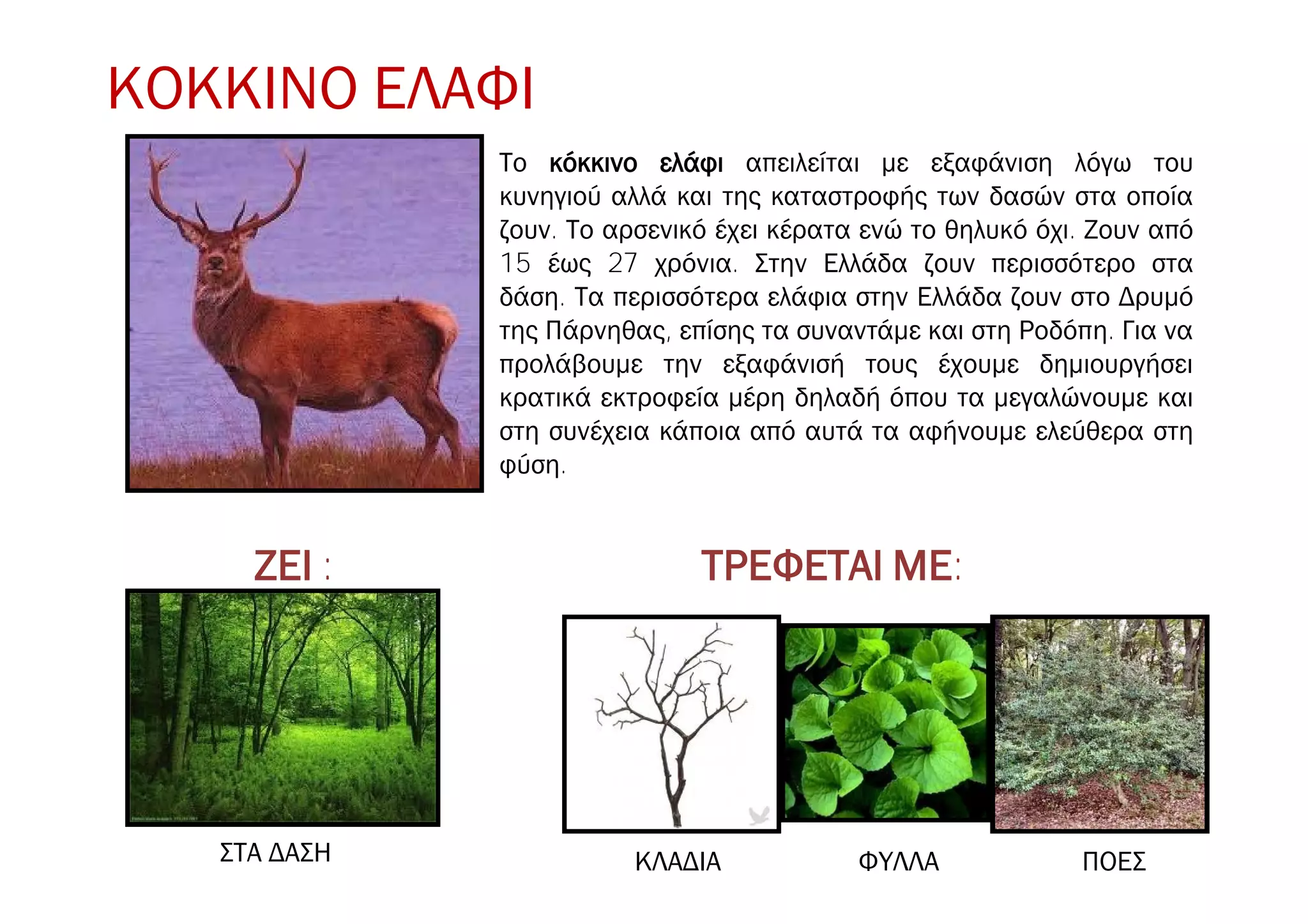 ΖΩΑ ΥΠΟ ΕΞΑΦΑΝΙΣΗ | PDF