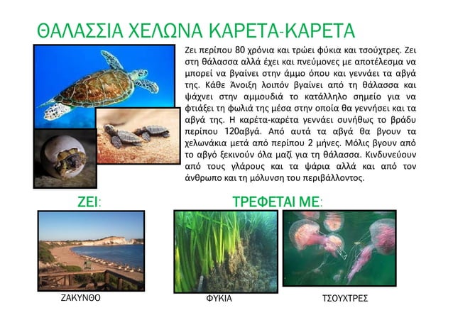 ΖΩΑ ΥΠΟ ΕΞΑΦΑΝΙΣΗ | PDF