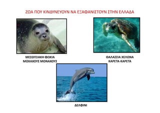 ΖΩΑ ΥΠΟ ΕΞΑΦΑΝΙΣΗ | PDF