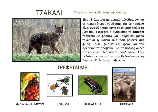 ΖΩΑ ΥΠΟ ΕΞΑΦΑΝΙΣΗ | PDF