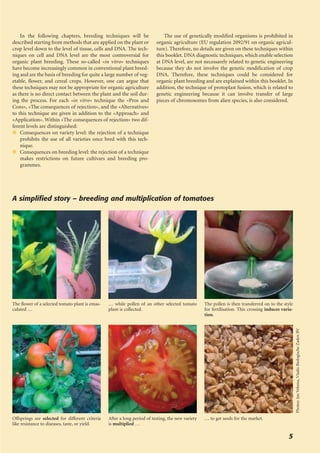 Organic Plant Breeding Techniques | PDF
