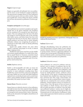 Pollinator Management for Organic Seed Producers | PDF