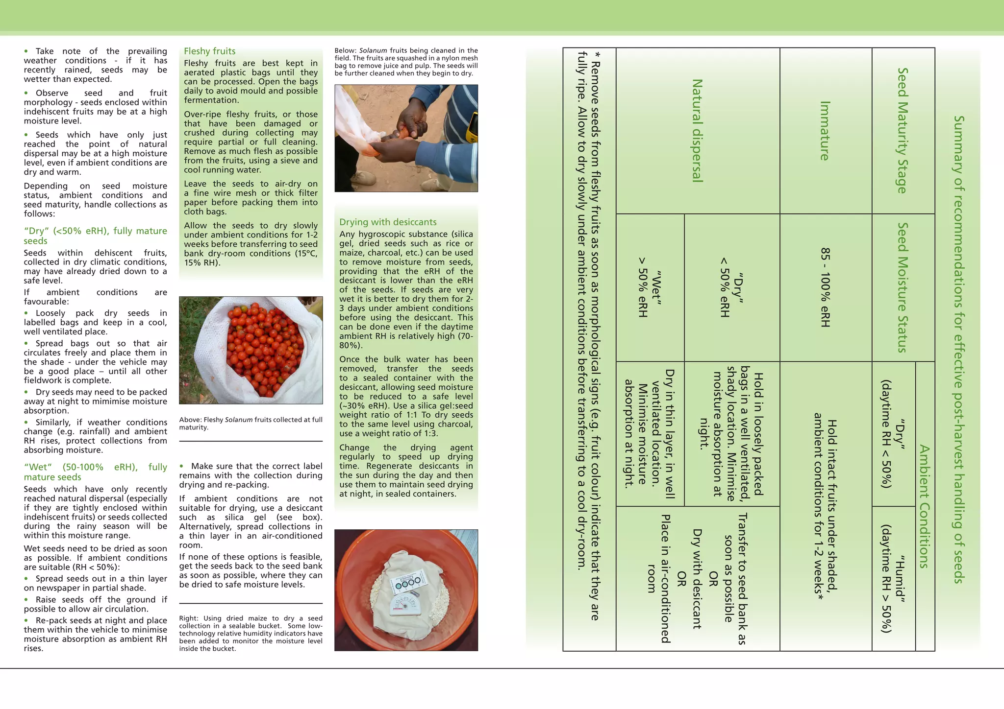 Post-Harvest Handling of Seed Collections | PPT