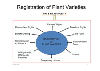 Saving of Seed by Farmers: Seed Protection | PPT