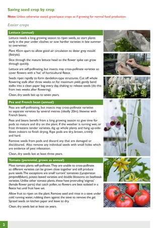 Saving Seed Crop by Crop ~ gardenorganic.org.uk