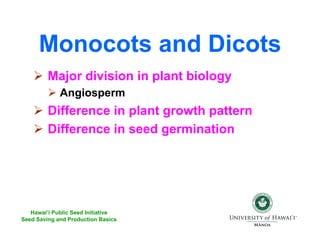 Seed Basics: Botany and Biology | PPT