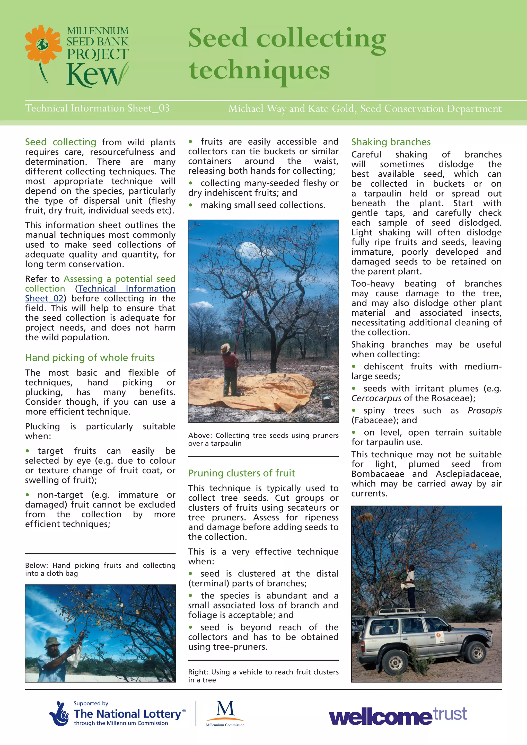 Seed Collecting Techiques - United Kingdom | PDF | Gardening | Home ...