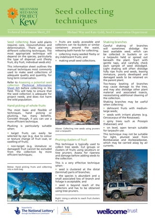 Seed Collecting Techniques ~ Royal Botanic Gardens | PDF