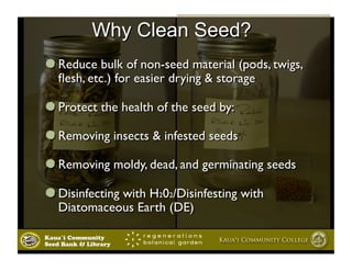 Seed Collection, Cleaning, Saving and Storage | PDF
