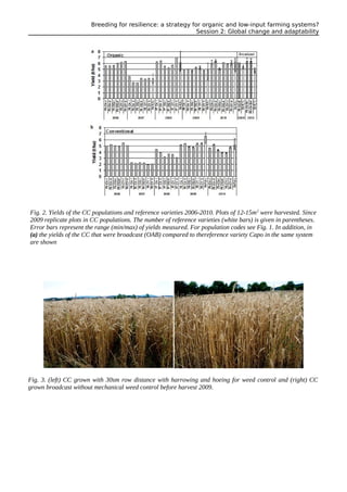 Breeding for Resilience: A Strategy for Organic and Low-Input Farming ...