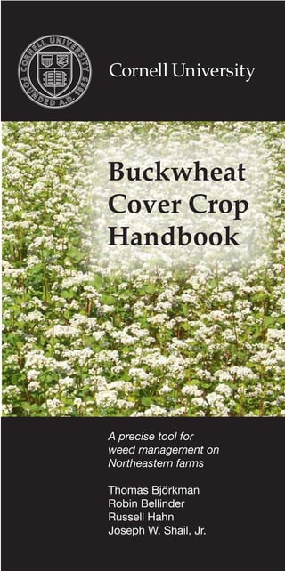 Buckwheat Cover Crop Handbook | PDF