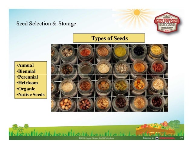 Seed Selection & Storage