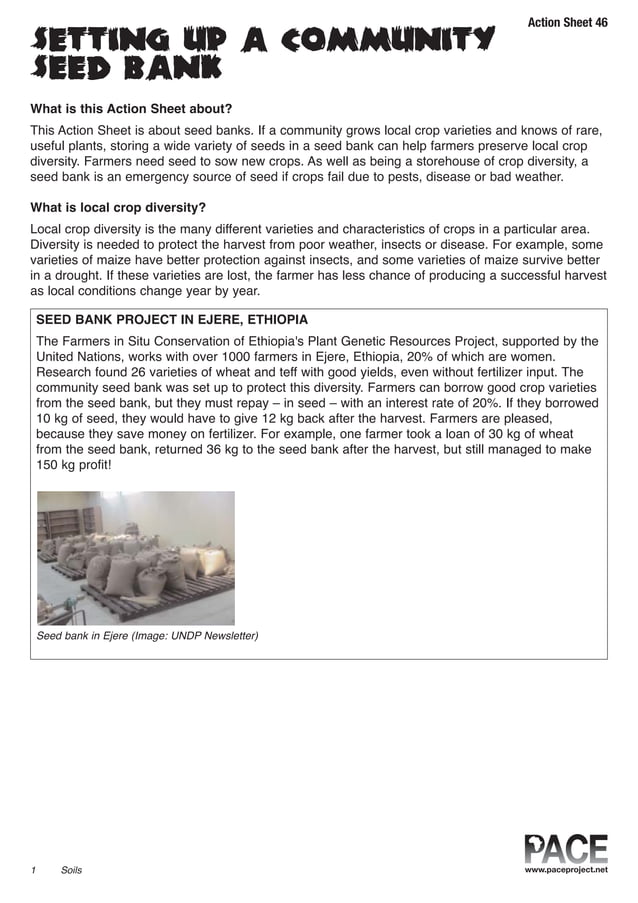 Setting up a Community Seed Bank | PDF | Agriculture | Industries