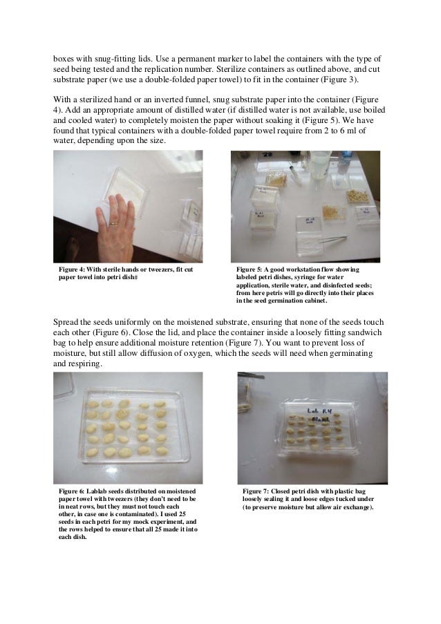 Testing Seed Viability Using Simple Germination Tests