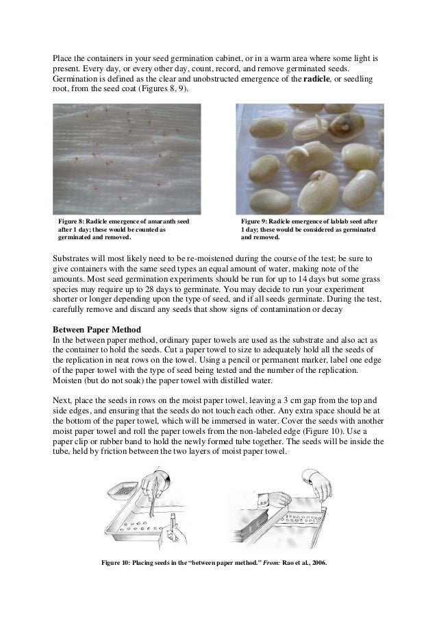 Testing Seed Viability Using Simple Germination Tests