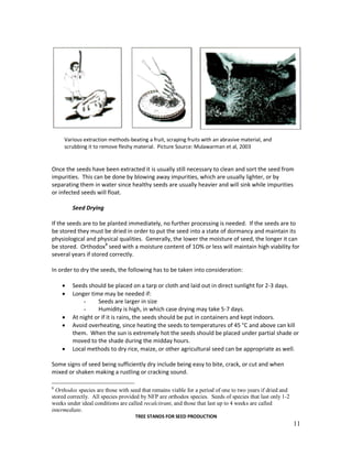 Tree Stands for Seed Production | PDF