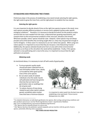 Tree Stands for Seed Production | PDF