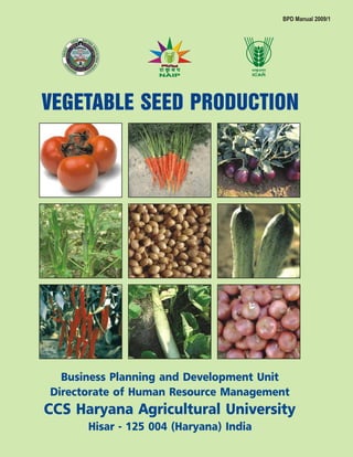 Vegetable Seed Production - India | PDF