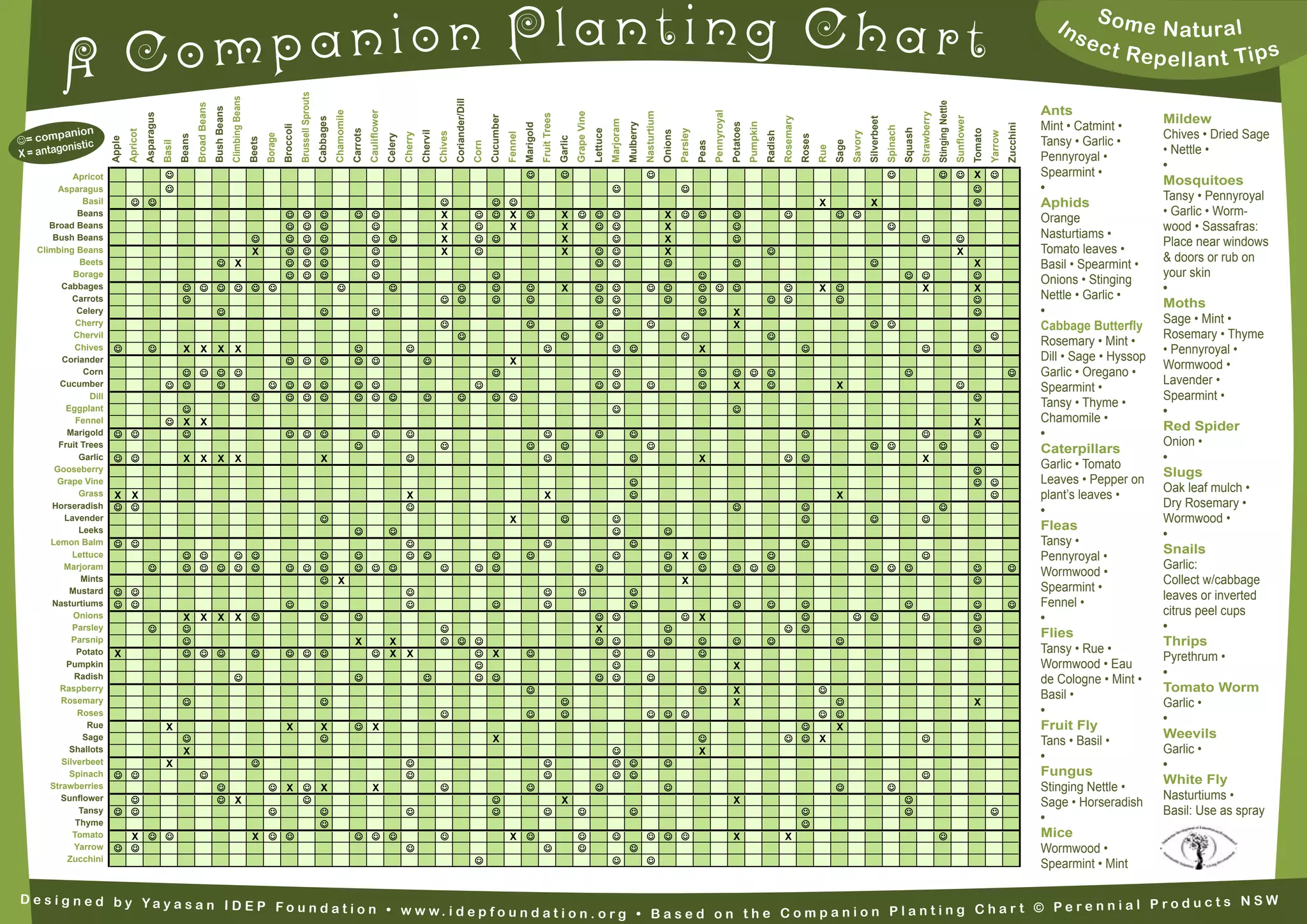 Companion Planting Chart increases Vegetable Production | PPT