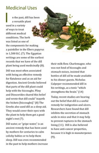 Dill Herb Seed Saving, Growing and Harvesting | PDF
