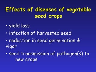 Diseases in Vegetable Seed Crops | PDF
