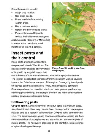 Farmers’ Guide to Cowpea Production in West Africa | PDF