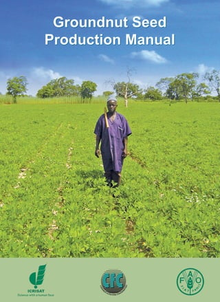 Groundnut Seed Production Manual | PDF