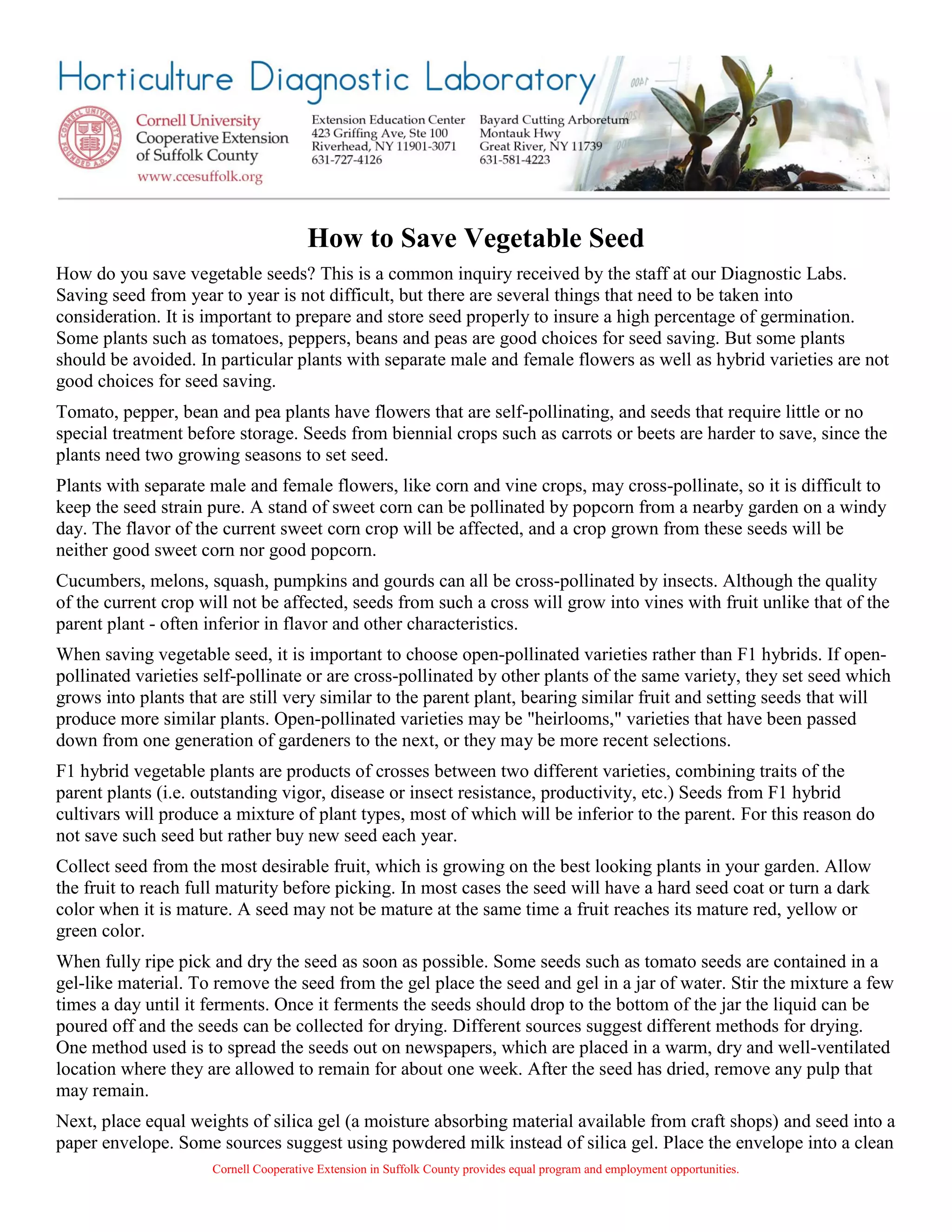 How to Save Vegetable Seed ~ Cornell University | PDF