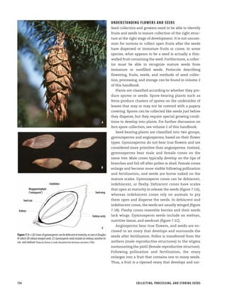 Nursery Manual for Native Plants | PDF