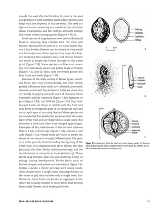 Nursery Manual for Native Plants | PDF