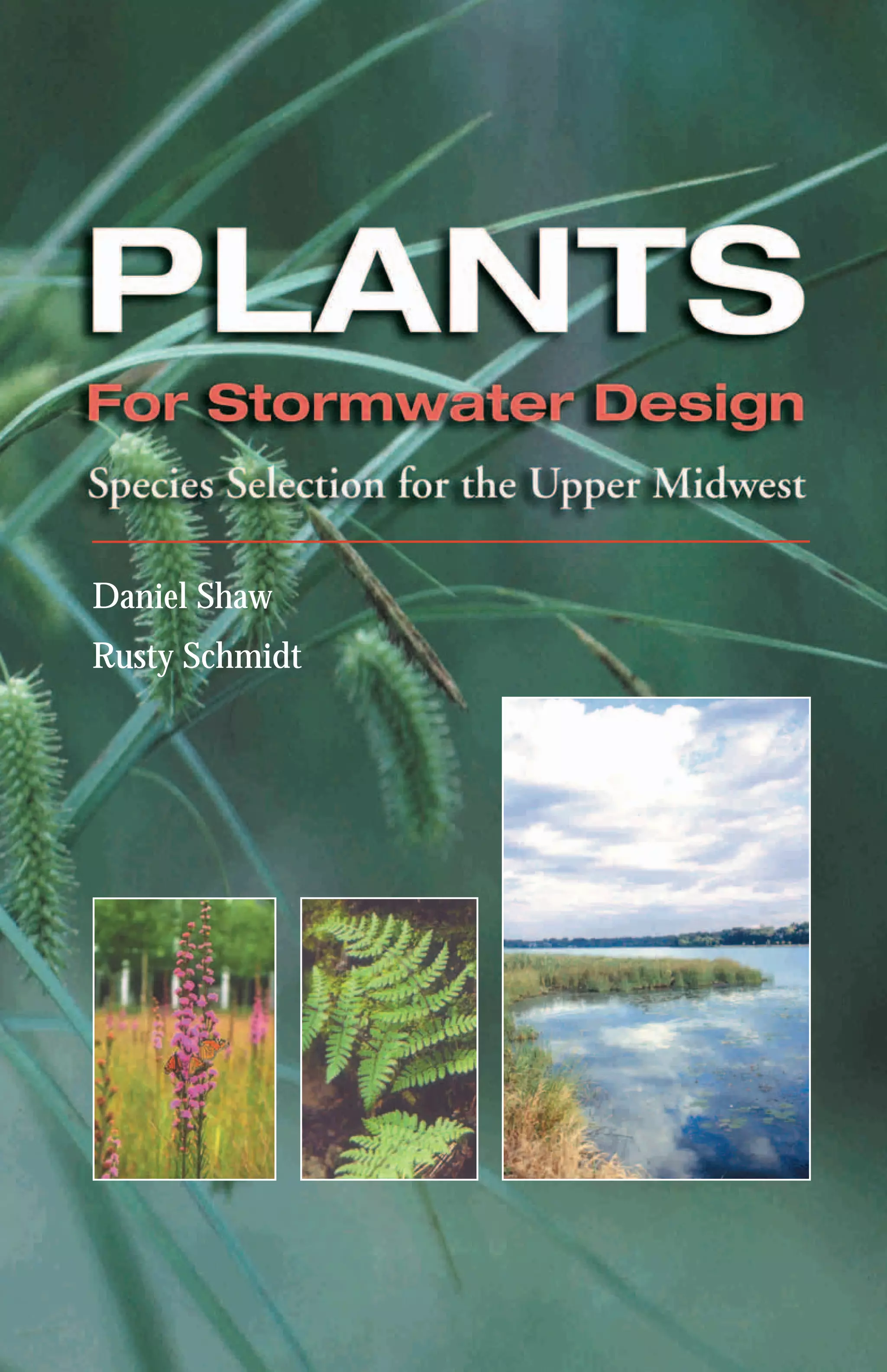 Minnesota - Plants for Rain Gardens & Stormwater Design - Part 1 | PDF
