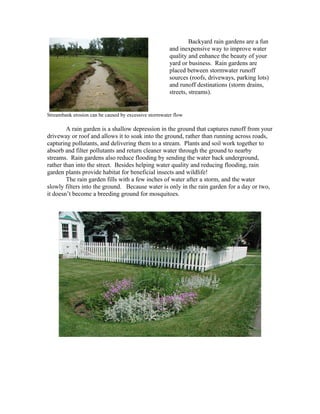 Stormwater and Your Rain Garden | PDF