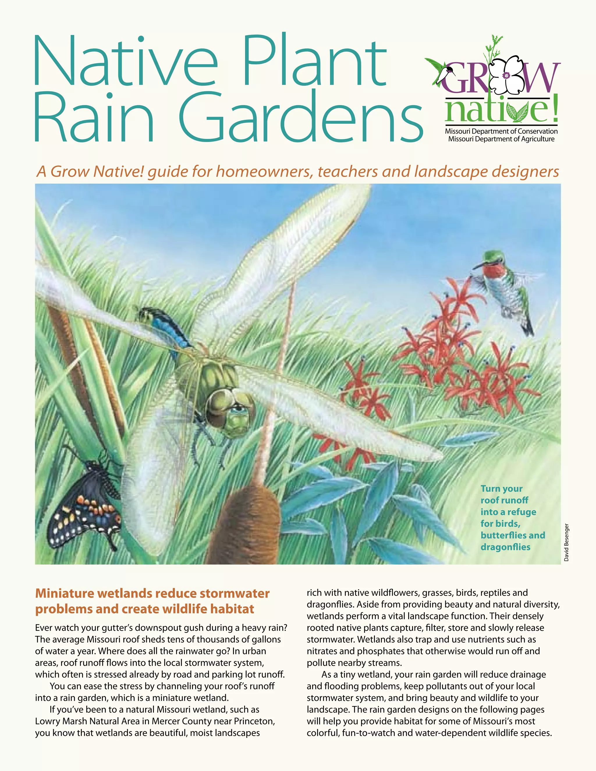 Wisconsin Native Plant Rain Gardens | PDF