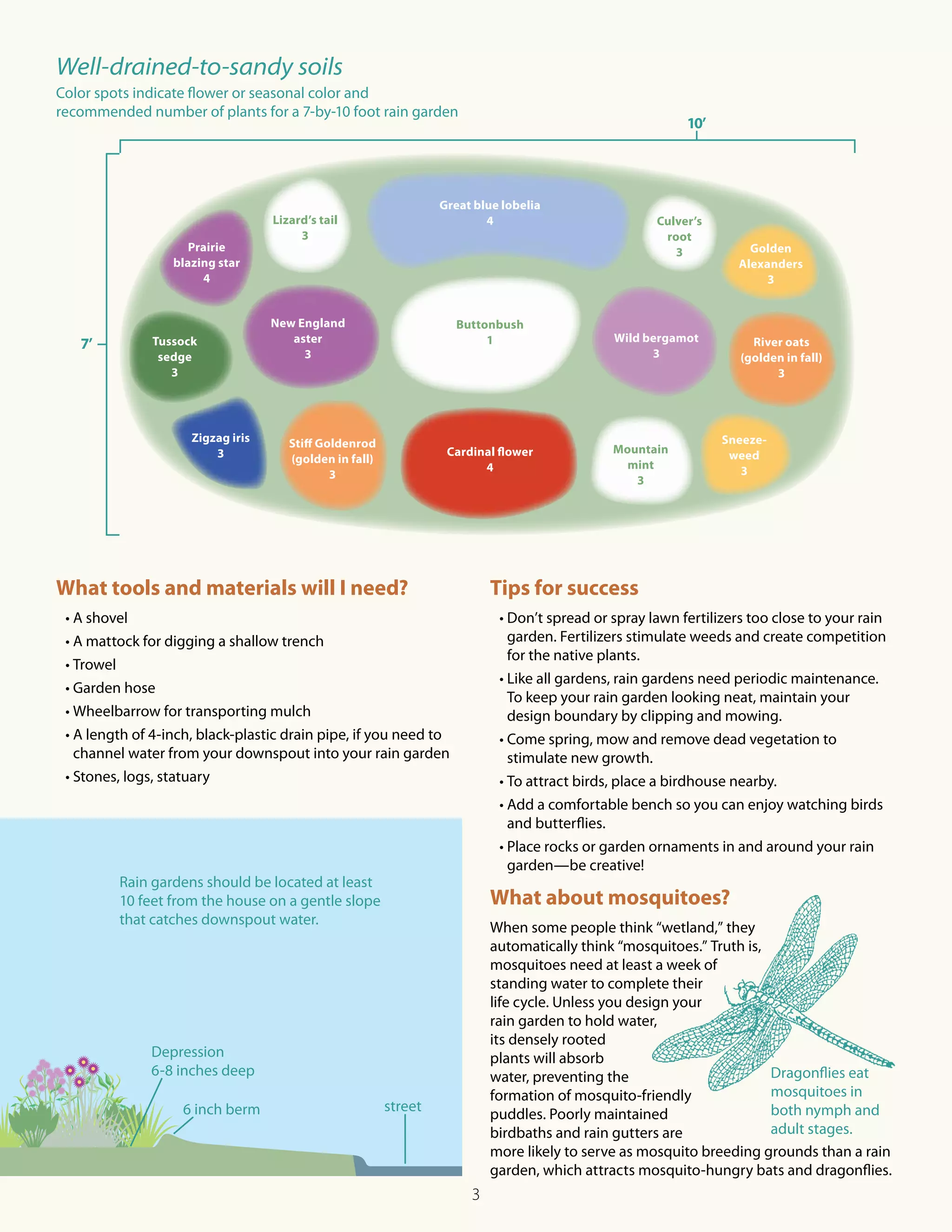 Wisconsin Native Plant Rain Gardens | PDF