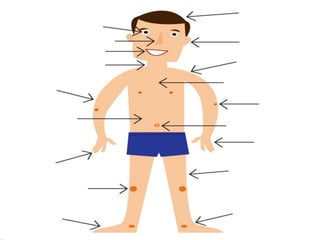 Body features ESL VOCABULARY | PPTX