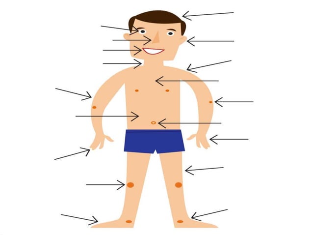 Body features ESL VOCABULARY | PPTX | Hair Care | Beauty