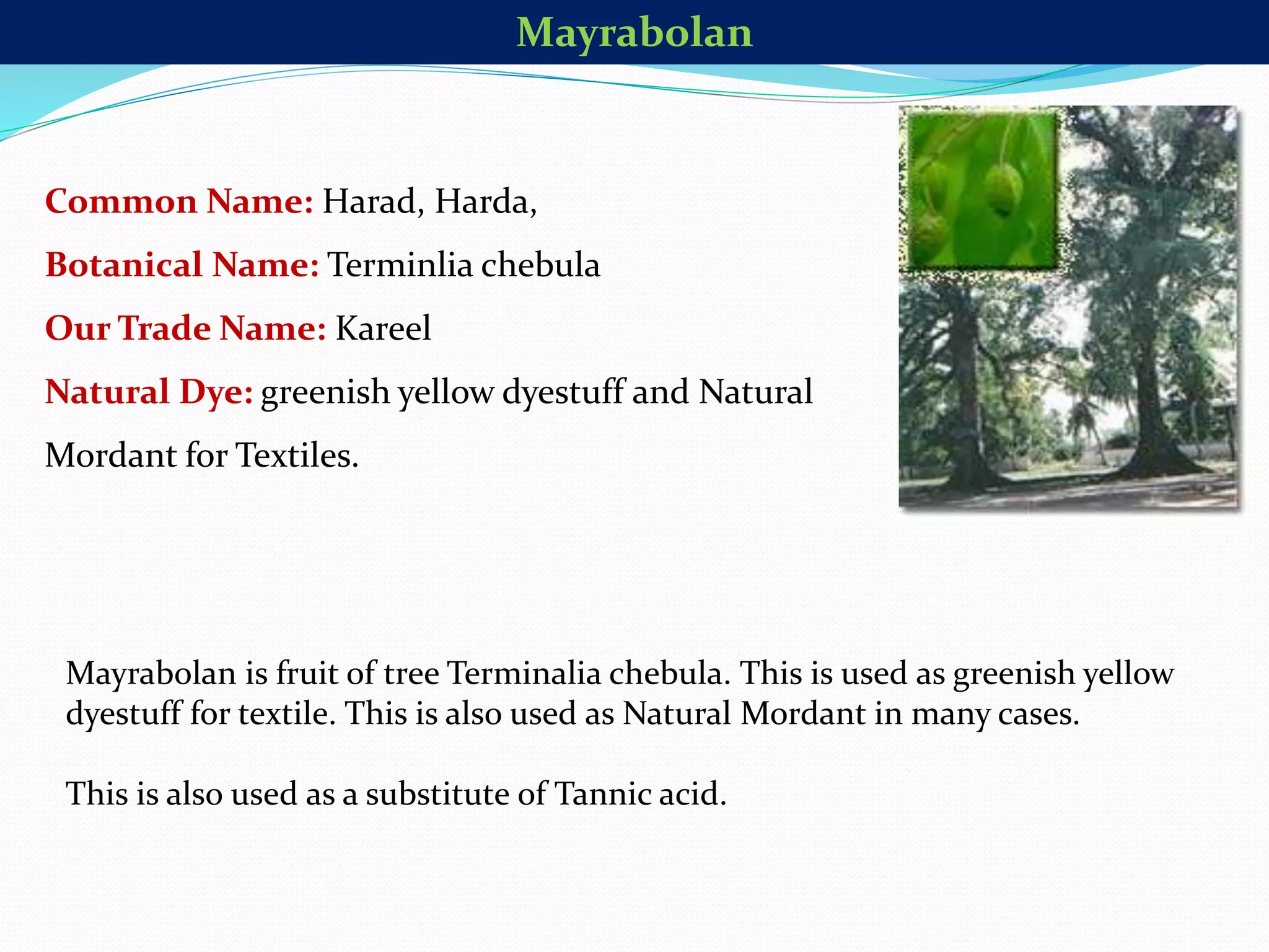 Presentation-natural_dye.pptx | Gardening | Home & Garden