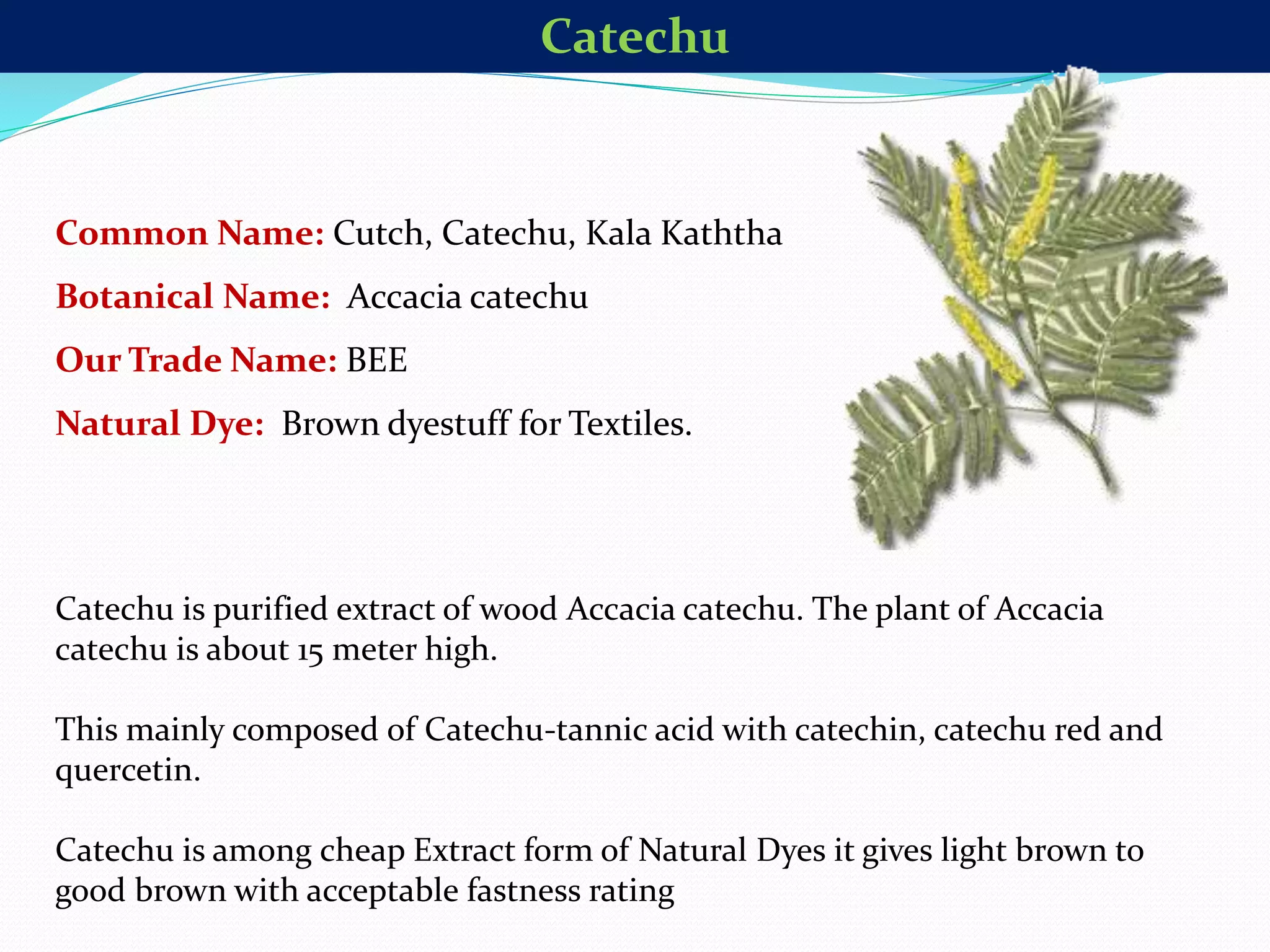 Presentation-natural_dye.pptx | Gardening | Home & Garden