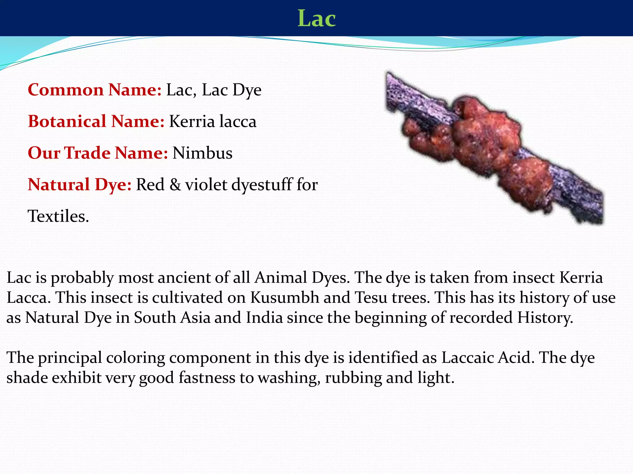 Presentation-natural_dye.pptx