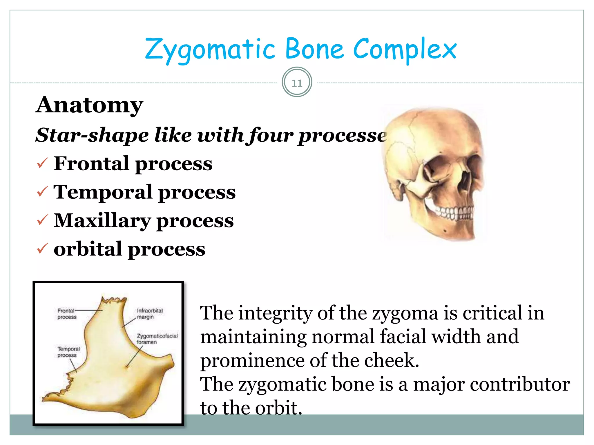 Zygomatic Complex Fracture- ZMC | PPTX