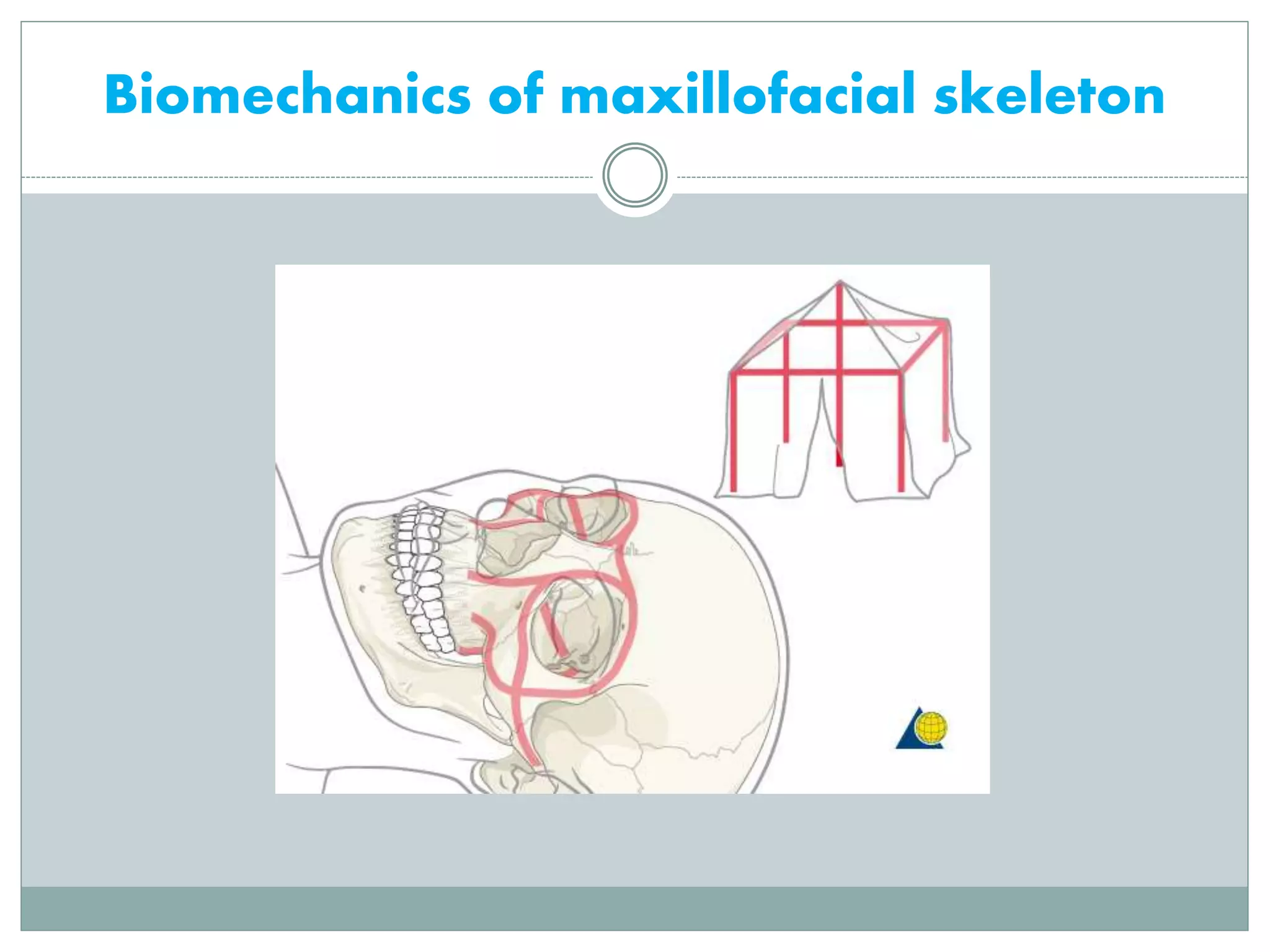 Zygomatic Complex Fracture- ZMC | PPTX