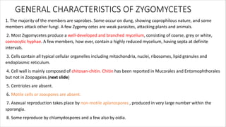 Zygomycota is a part of Botany and class of plants | PDF