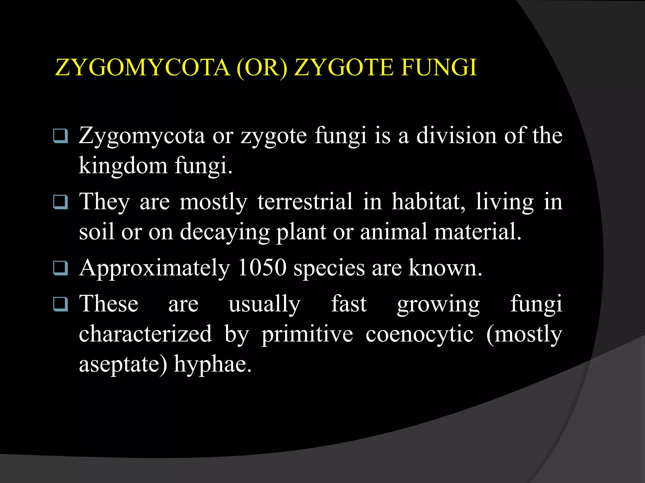 Zygomycota characters, cycle, taxonomy& difference between rhizopus ...