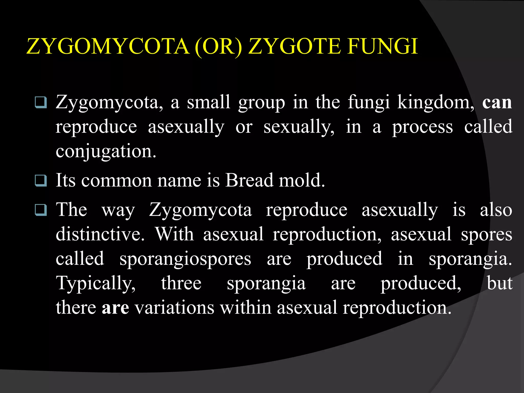 Zygomycota characters, cycle, taxonomy& difference between rhizopus ...