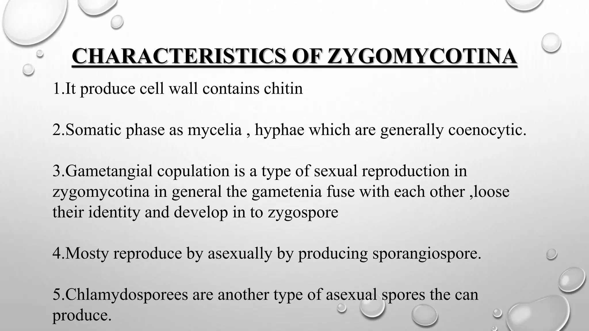 Zygomycotina | PPTX