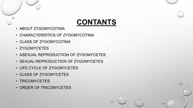 Zygomycotina | PPTX